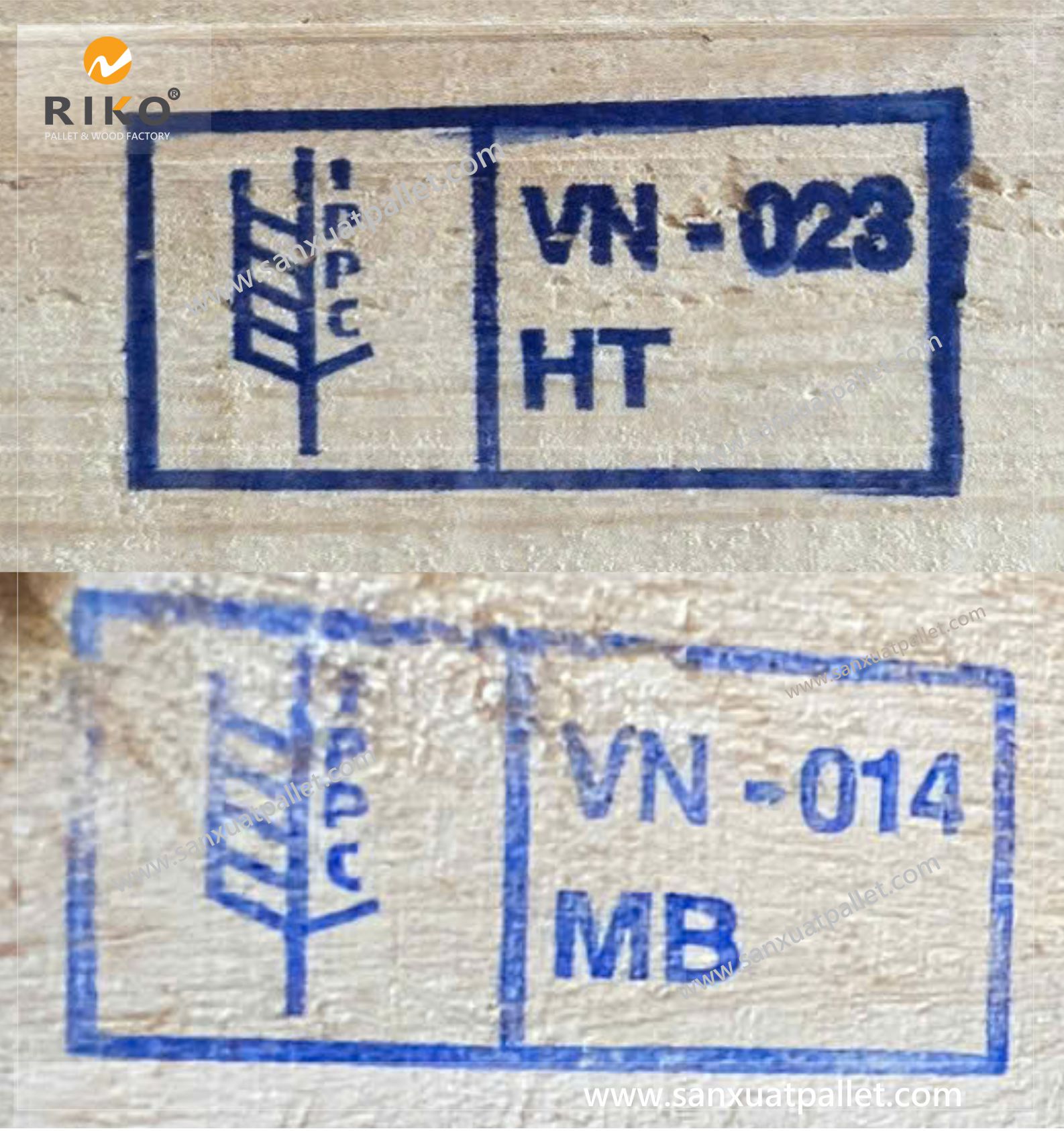 Thuật Ngữ Quan Trọng Trong Tiêu Chuẩn Sản Phẩm Gỗ và Pallet Gỗ Xuất ...